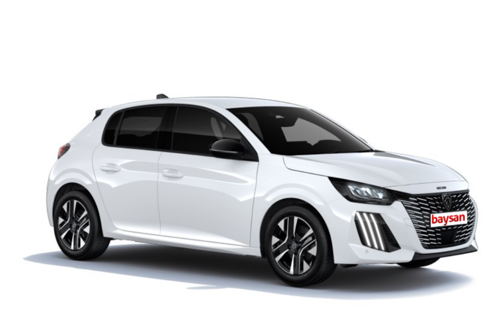 Renting Peugeot 208 | Baysan